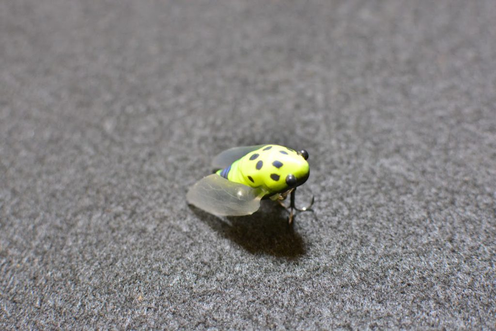 Megabass TINY SIGLETT(タイニーシグレ) をGET | ikahime