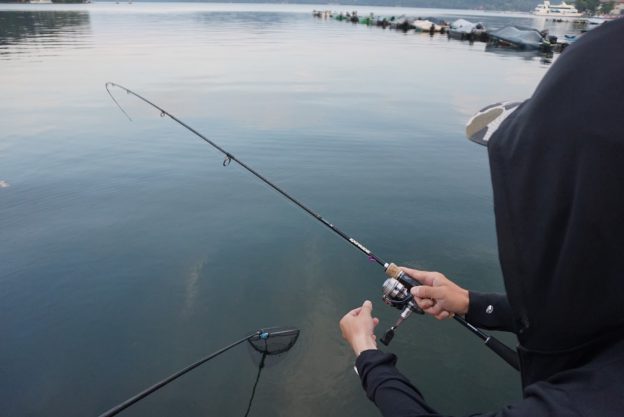 シマノスピニングリールC2500Sと2500Sで迷ったら読む記事。 | ikahime