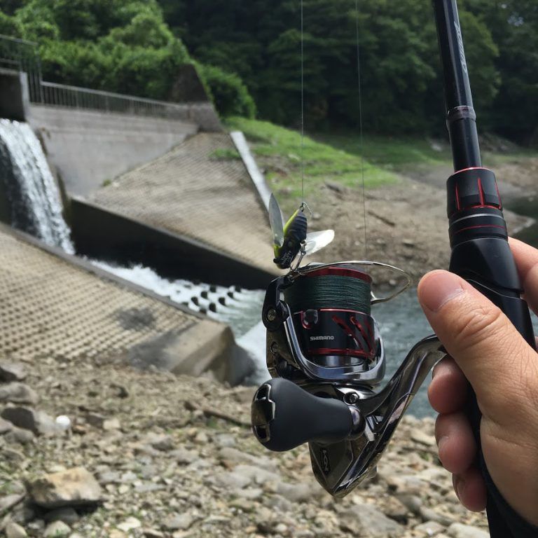 シマノスピニングリールC2500Sと2500Sで迷ったら読む記事。 | ikahime