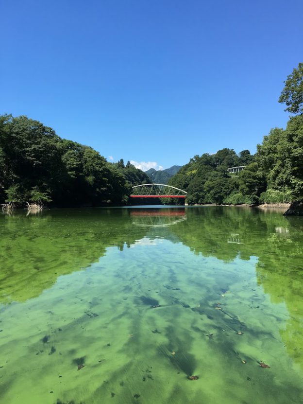 2016年7月30日相模湖釣行。アオコのせいで大苦戦!? | ikahime