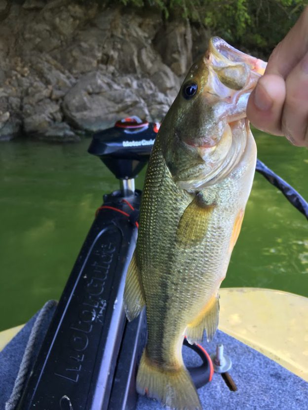 2016年7月30日相模湖釣行。アオコのせいで大苦戦!? | ikahime