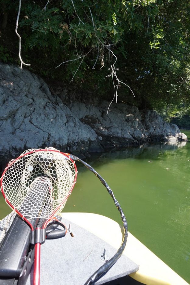かながわの水がめ 津久井湖＆相模湖 異例の大減水状態写真レポート | ikahime | 2ページ目