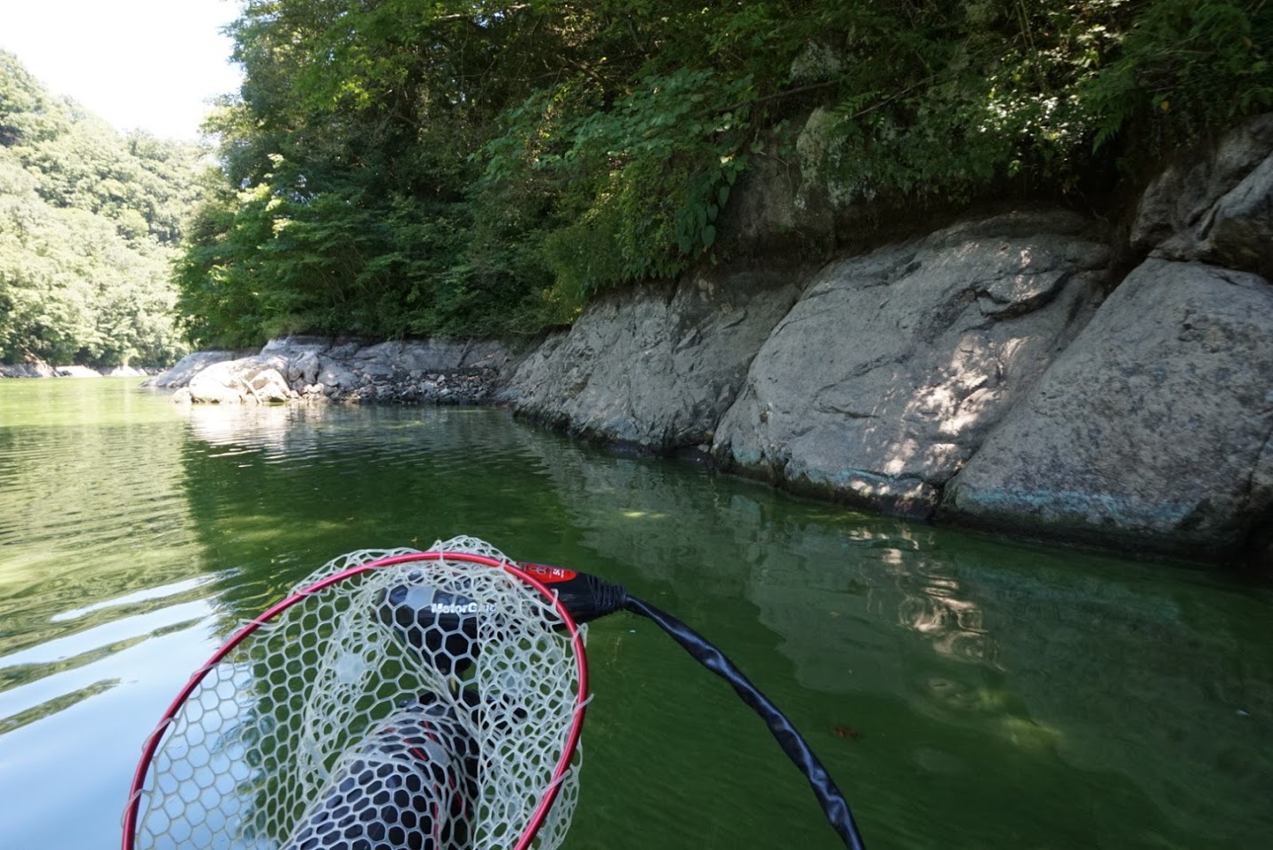 かながわの水がめ 津久井湖＆相模湖 異例の大減水状態写真レポート | ikahime | 2ページ目
