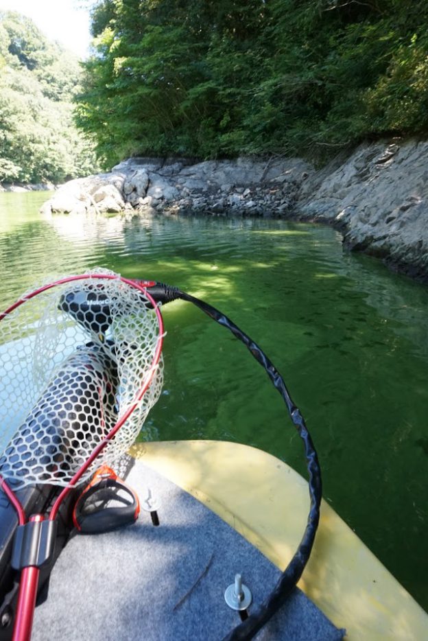かながわの水がめ 津久井湖＆相模湖 異例の大減水状態写真レポート | ikahime