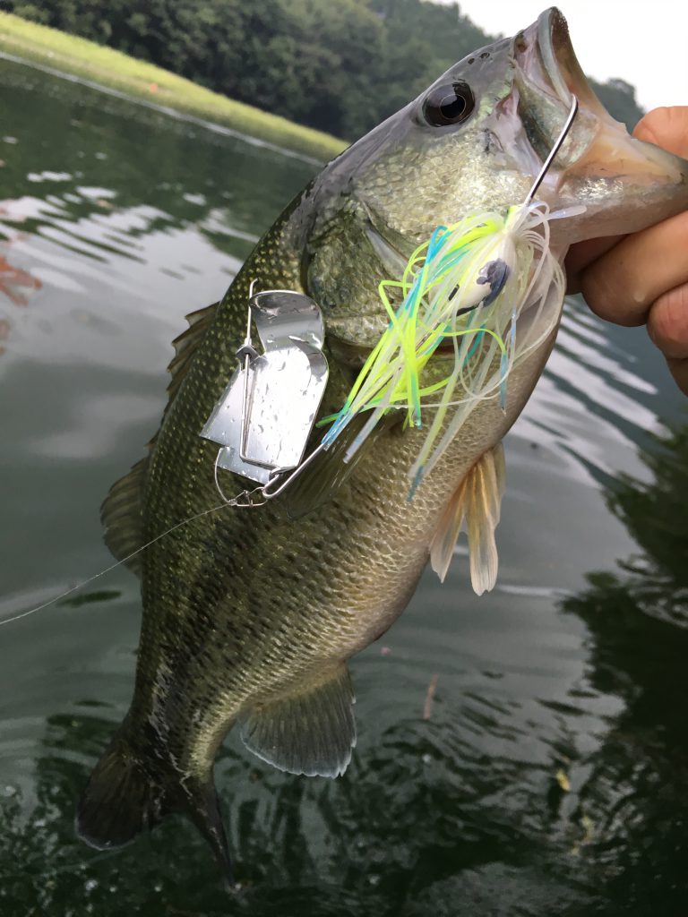 レンタルボート二人乗りで二人とも釣果をあげるコツ。 | ikahime