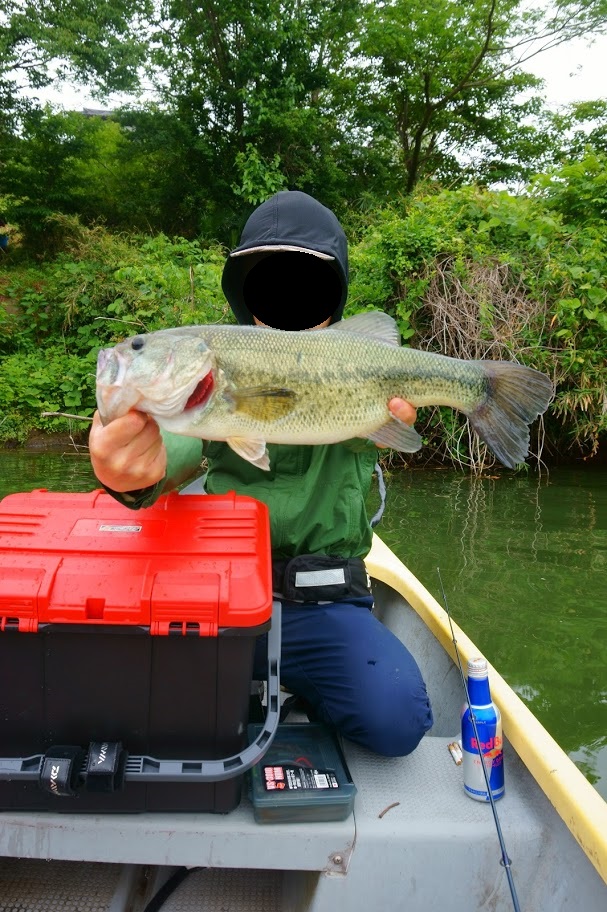霞のバスはやっぱりデカイのか。リザーバーのバスと比較してみた。 | ikahime | 2ページ目