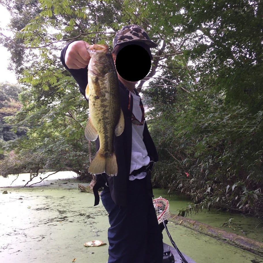 霞のバスはやっぱりデカイのか。リザーバーのバスと比較してみた。 | ikahime | 2ページ目