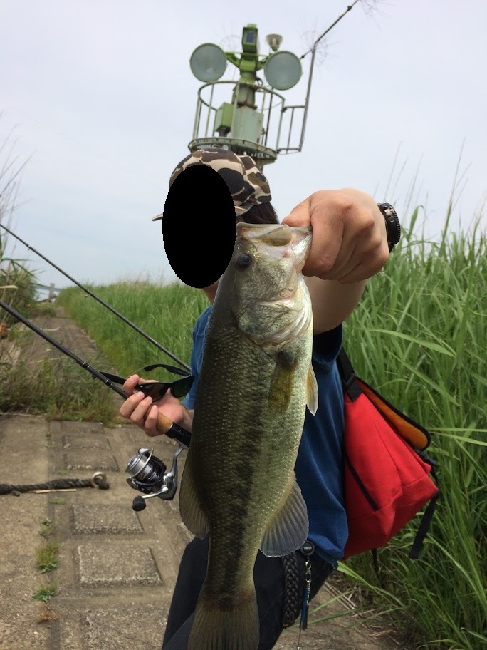 霞のバスはやっぱりデカイのか。リザーバーのバスと比較してみた。 | ikahime | 2ページ目