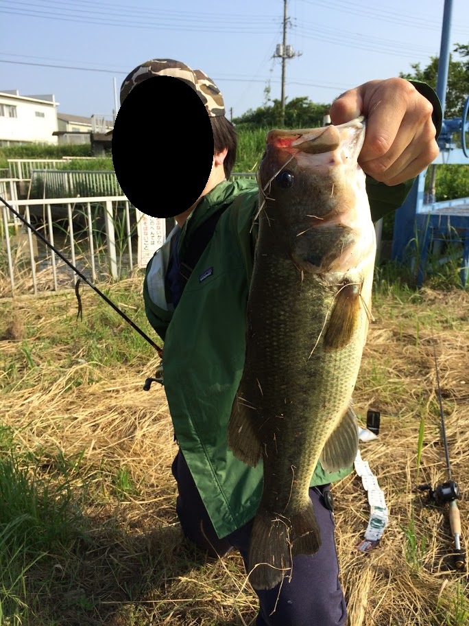 霞のバスはやっぱりデカイのか。リザーバーのバスと比較してみた。 | ikahime | 2ページ目