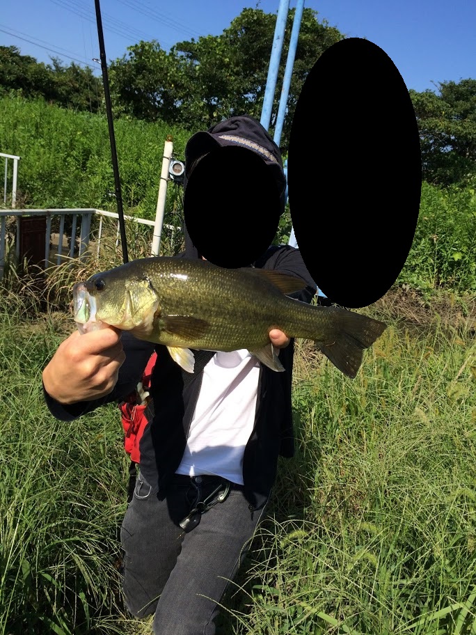 霞のバスはやっぱりデカイのか。リザーバーのバスと比較してみた。 | ikahime | 2ページ目