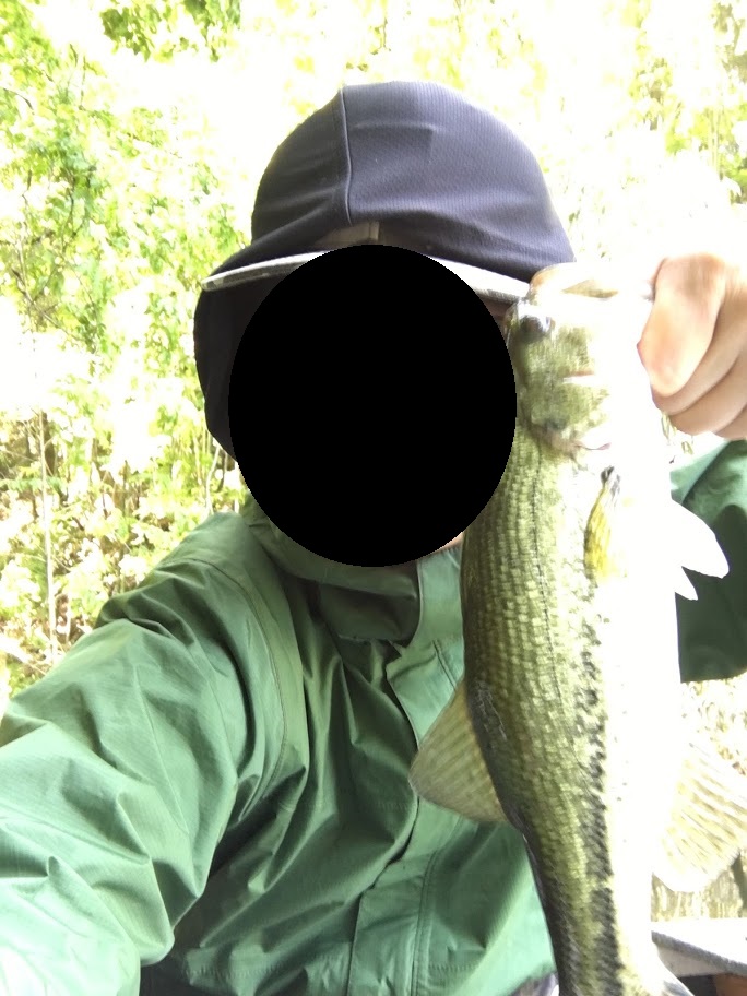 霞のバスはやっぱりデカイのか。リザーバーのバスと比較してみた。 | ikahime | 2ページ目