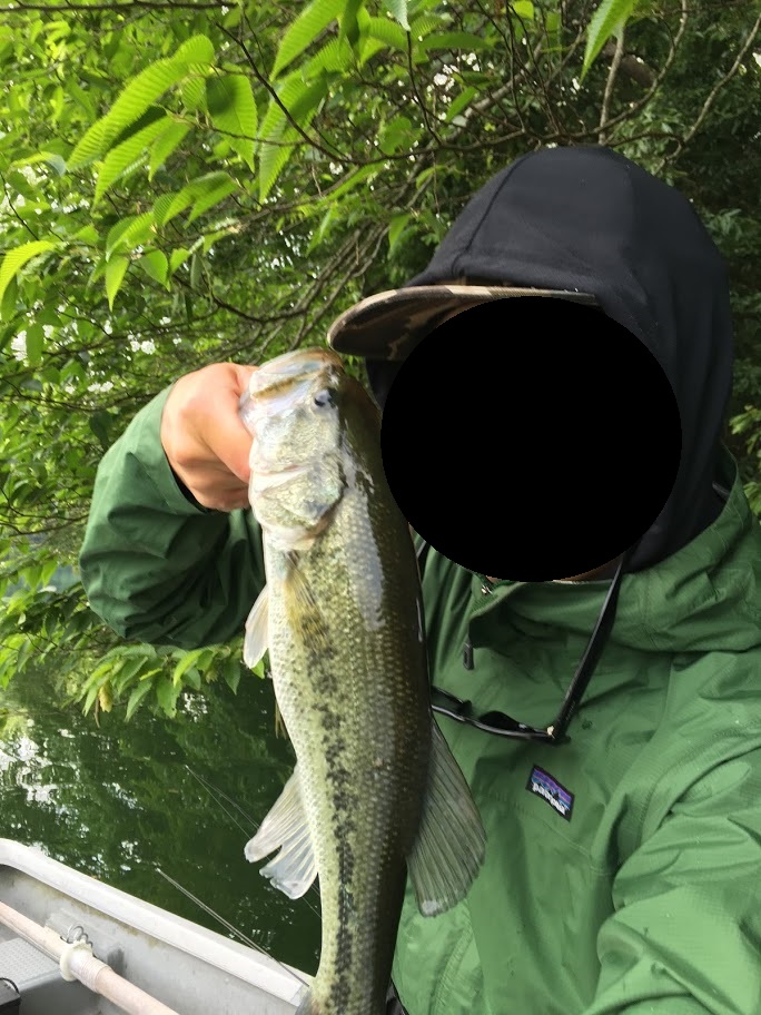 霞のバスはやっぱりデカイのか。リザーバーのバスと比較してみた。 | ikahime | 2ページ目