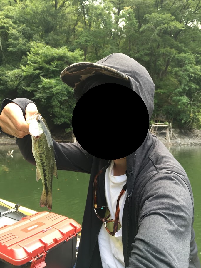 霞のバスはやっぱりデカイのか。リザーバーのバスと比較してみた。 | ikahime | 2ページ目