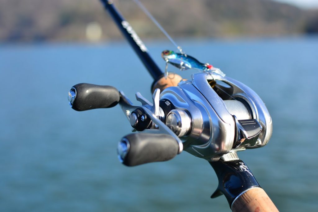 新生ikahimeちゃん!ブログデザインをリニューアルしました。 | ikahime