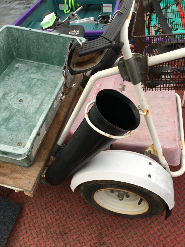 亀山ダムの電動カートの使用方法。トルクはんぱないw | ikahime | 2ページ目