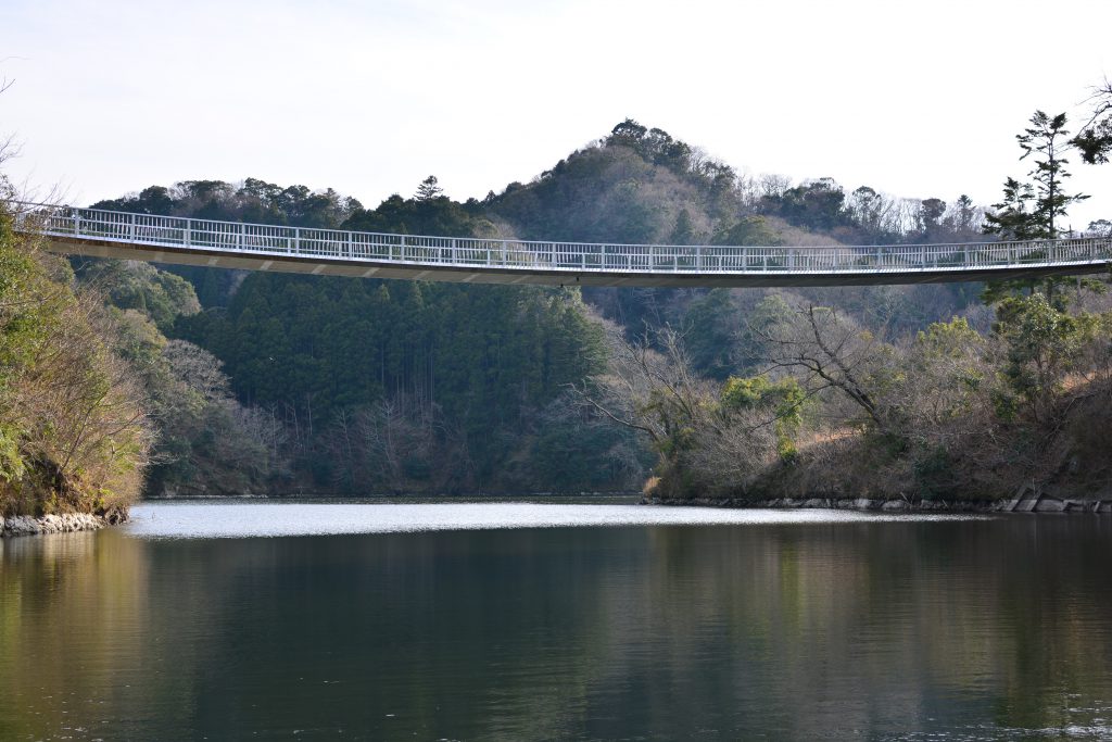 早春の片倉ダムバス釣り。カバードーンが火を吹いた！エスケープツインで釣れたよ！ | ikahime