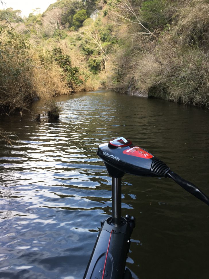 エバーグリーン[FACT]ラストエースの使い方。サイトは放置が良い理由。 | ikahime