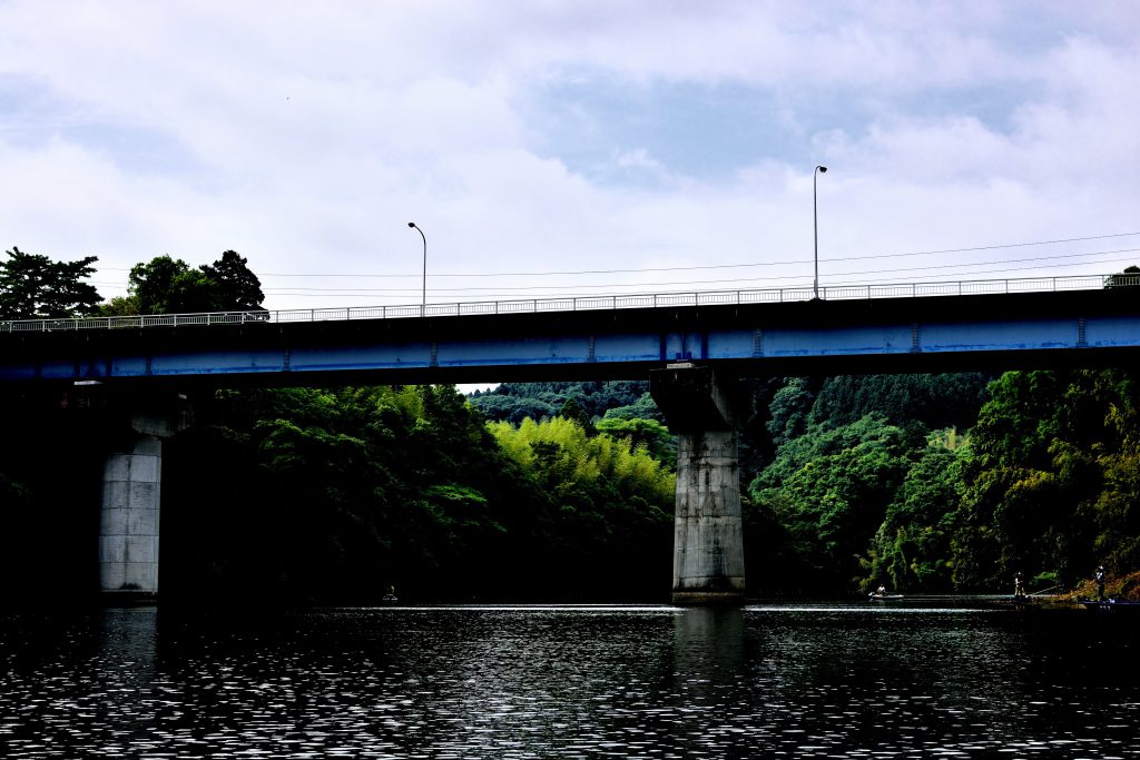 ワームは動かした方がいいのか。動かさない方がいいのか。 | ikahime