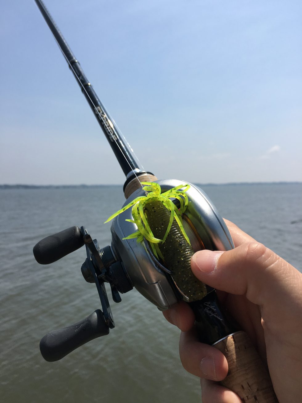 オカッパリに一本持って行くベイトロッド。は上限重視な理由。 | ikahime | 2ページ目