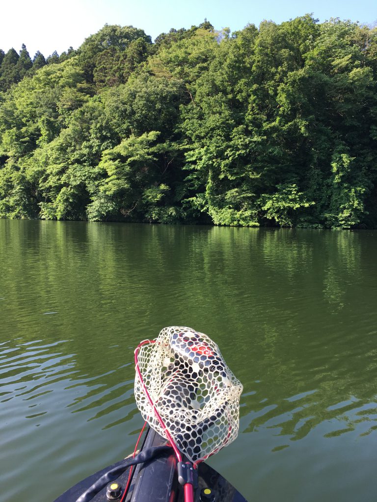 派手なPEライン直結でもバイトが減らない理由。 | ikahime