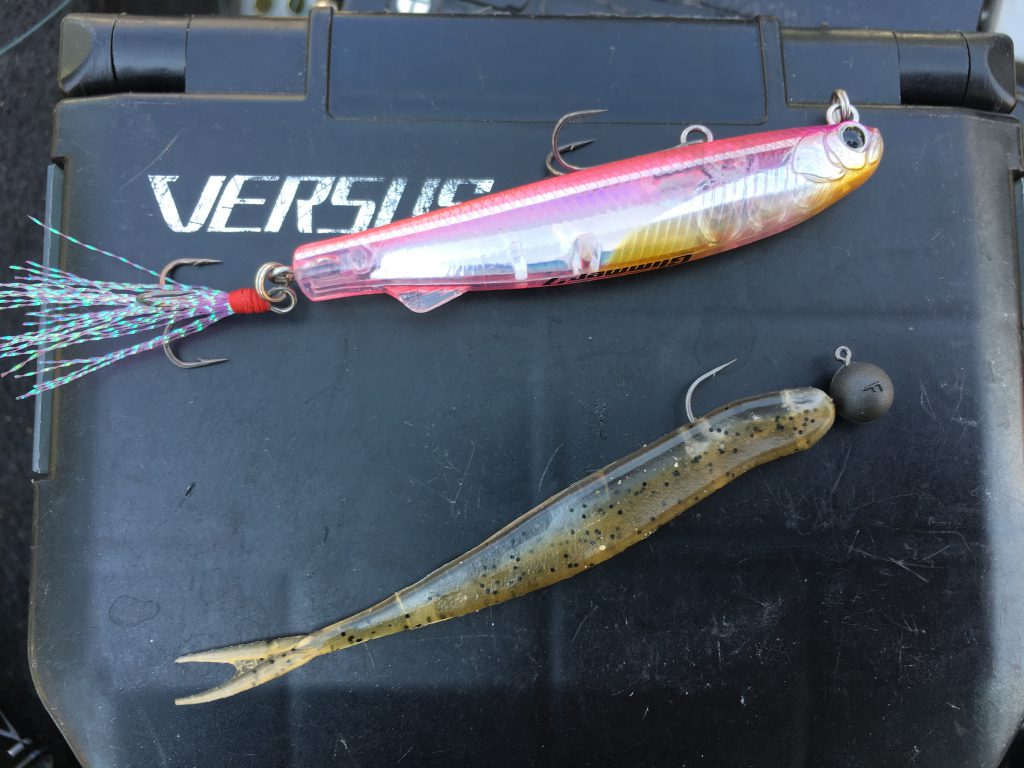 相模湖稚鮎パターンはどう攻める？ | ikahime | 2ページ目