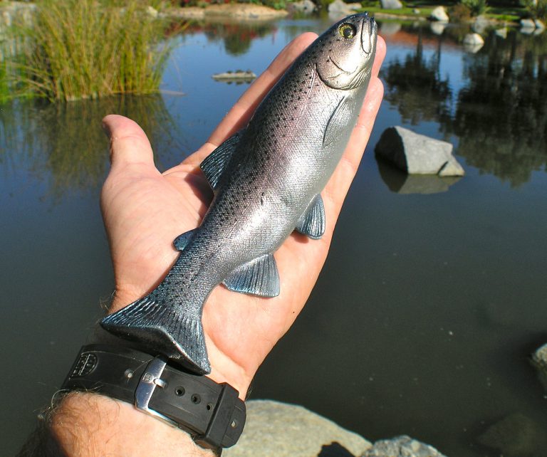 ジャイアントベイト！超デカいルアーまとめ。 | ikahime