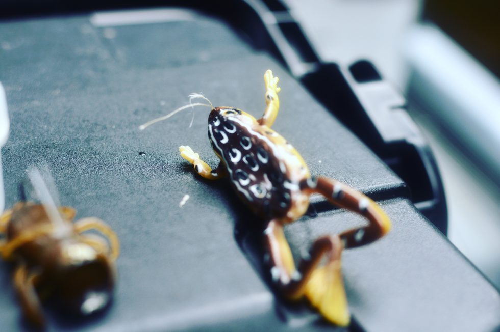 フロッグロッドまとめ。フロッグロッドについて妄想してみる。 | ikahime