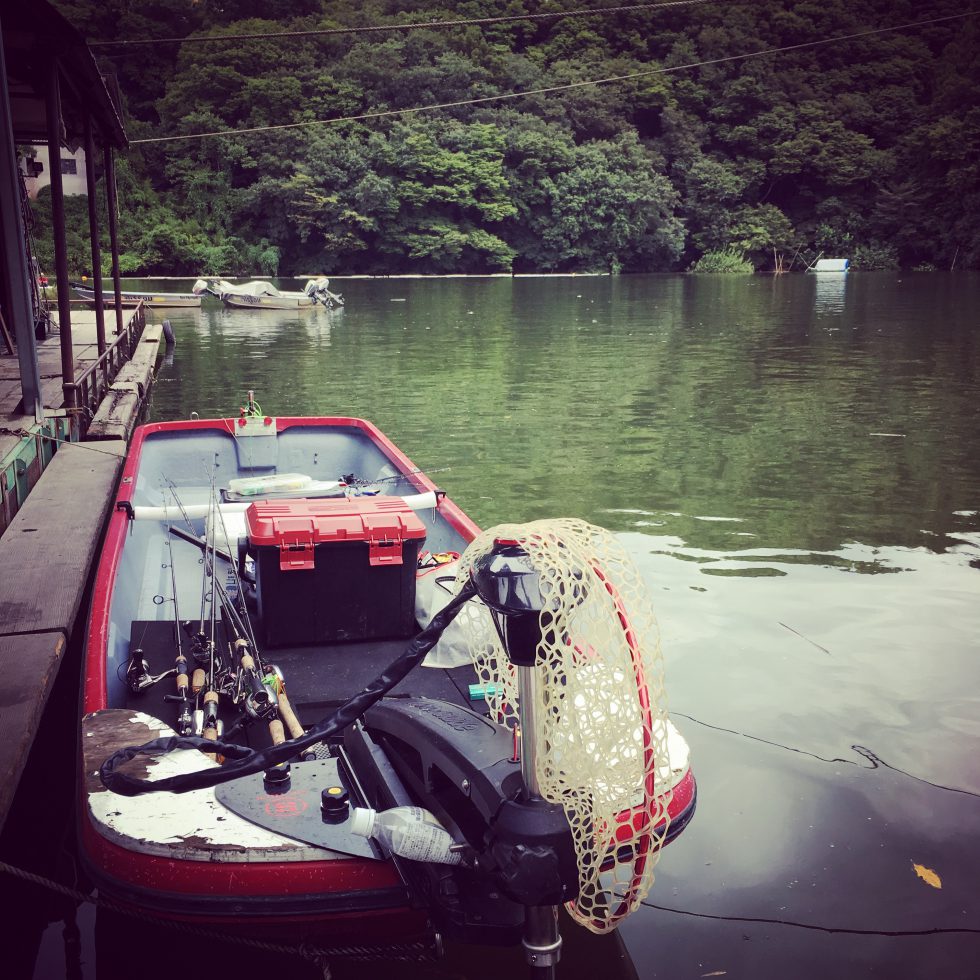 ENGINEのハイデッキをカーペットがけばけばになるまで使い込んだから長期インプレ。 | ikahime