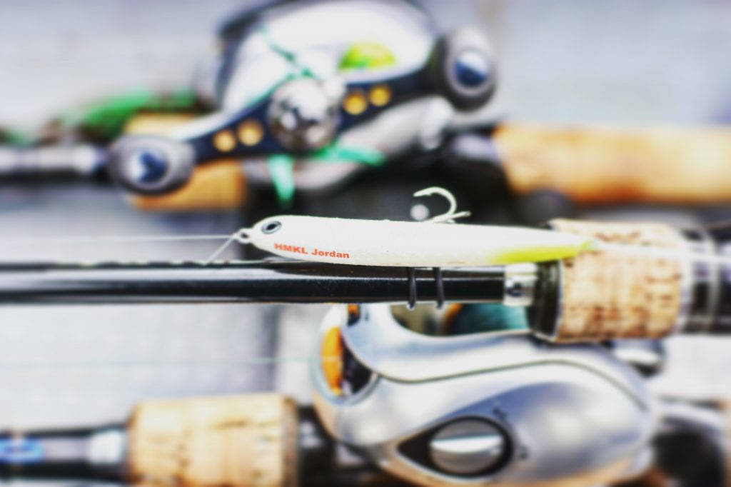 一人乗りが釣れるのか。二人乗りが釣れるのか。レンタルボート考。 | ikahime