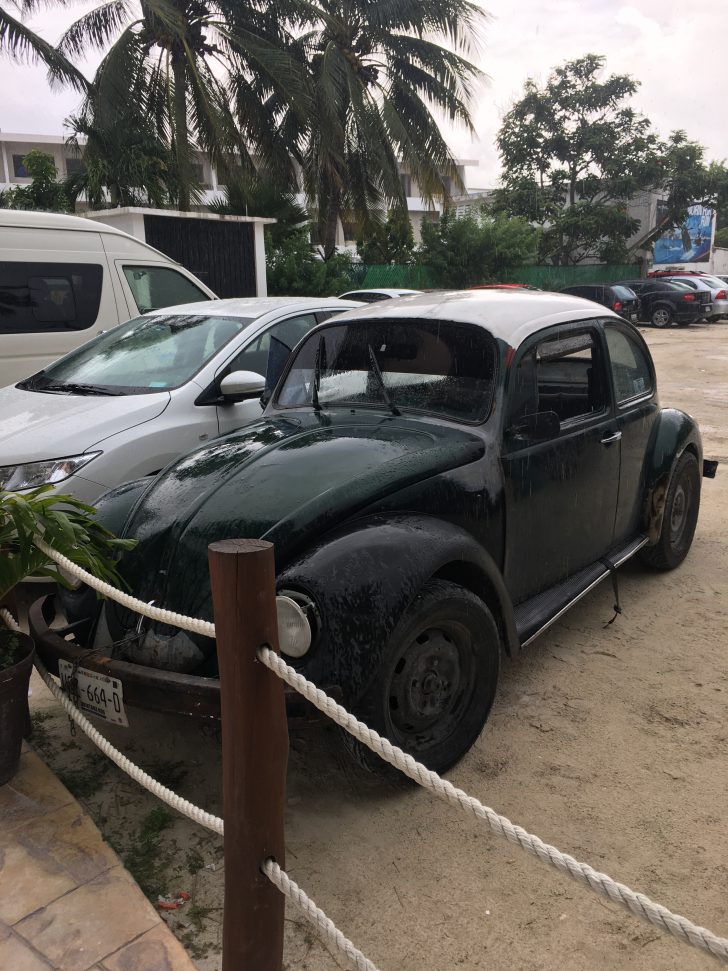 「釣り車」目線で見るメキシコの車事情 | ikahime