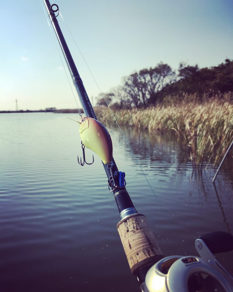 秋の牛久沼でコテンパン。晴天ベタなぎのクランキング考察。 | ikahime | 2ページ目