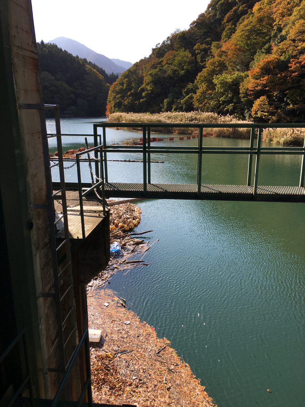 「奥相模湖」って知ってる？相模湖の奥。 | ikahime | 2ページ目