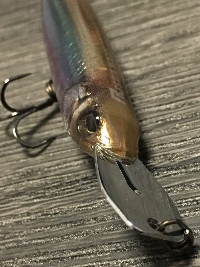 JACKALLライザーベイト007R入手。画期的な「浮き浮きベイト」はなぜ超人気なのか。 | ikahime | 2ページ目