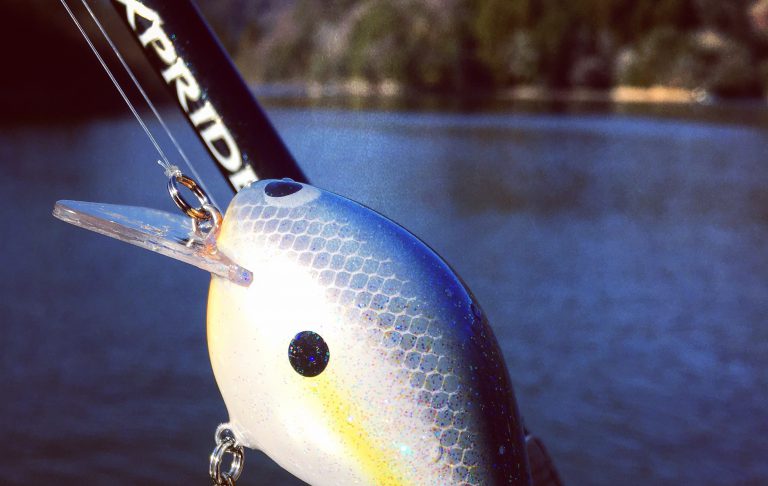 【バス釣りTIPS】ノット結束後に余ったラインを切る長さ。どれぐらい残すのがいいのか。 | ikahime