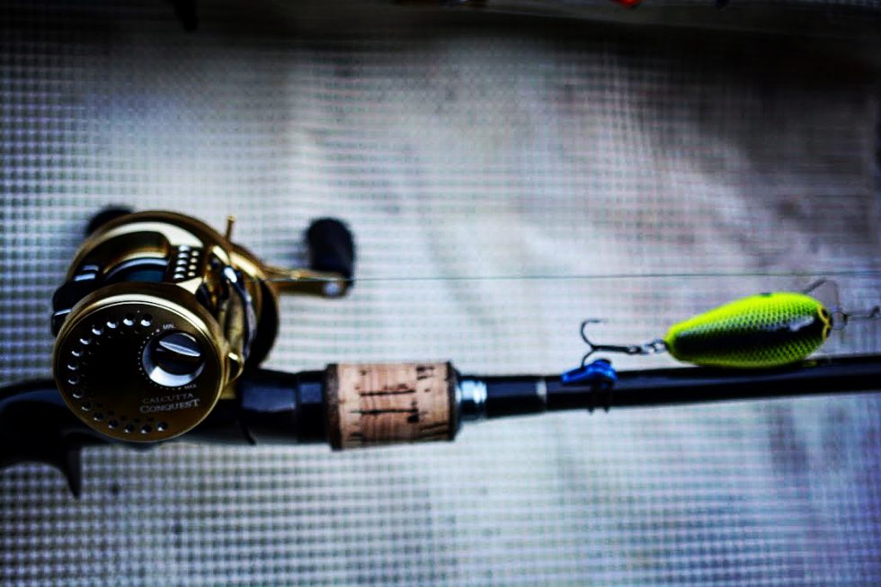 ‘14カルカッタコンクエスト100インプレ。ハイエンドとしての矜持はあるのか。 | ikahime