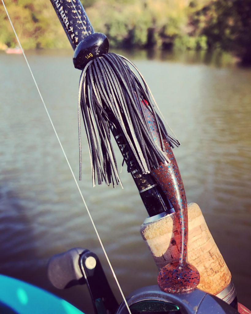 daiwa マルチジグSSが奇をてらってなくてイイ。（横アイだけど） | ikahime