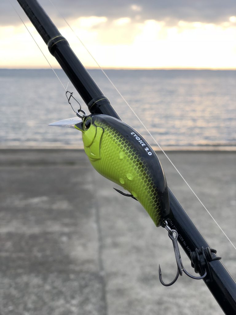 deps EVOKE[イヴォーク]2.0インプレ。変態系ウネウネウォブルアクションの個性派クランク。イイ！ | ikahime