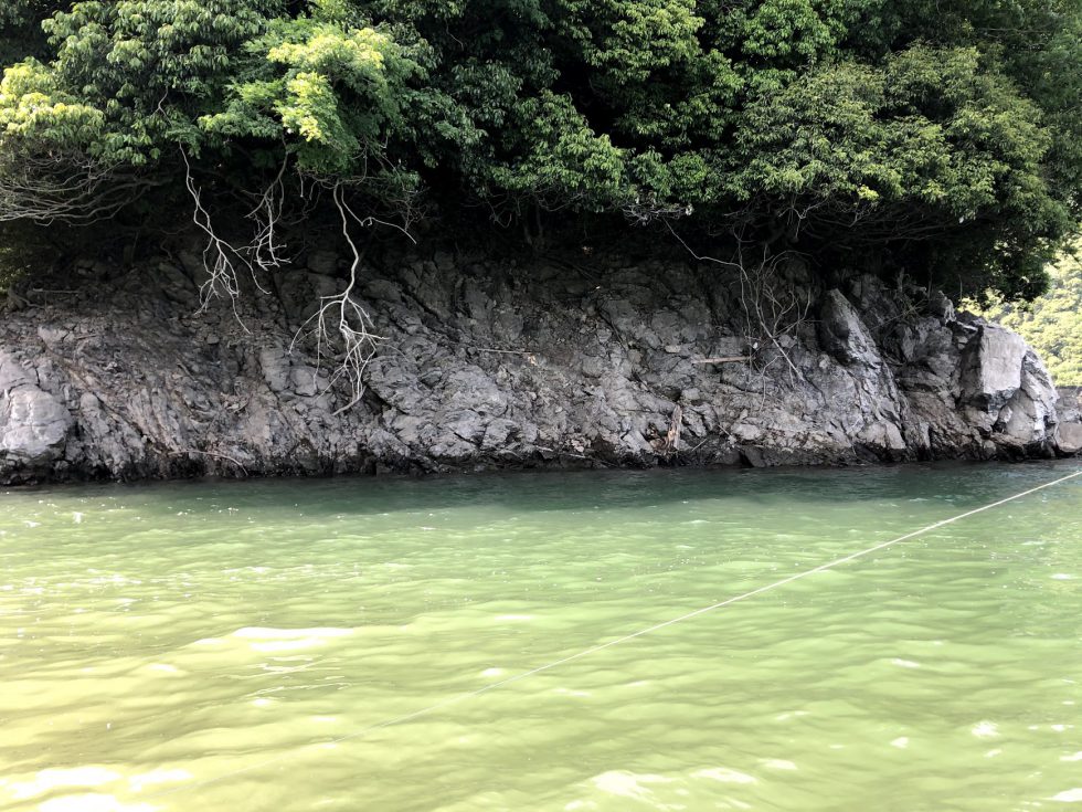 ゲーリーヤマモト モコリークロー インプレ。テキサス＆ジグトレーラーの神クロー系[実釣] | ikahime