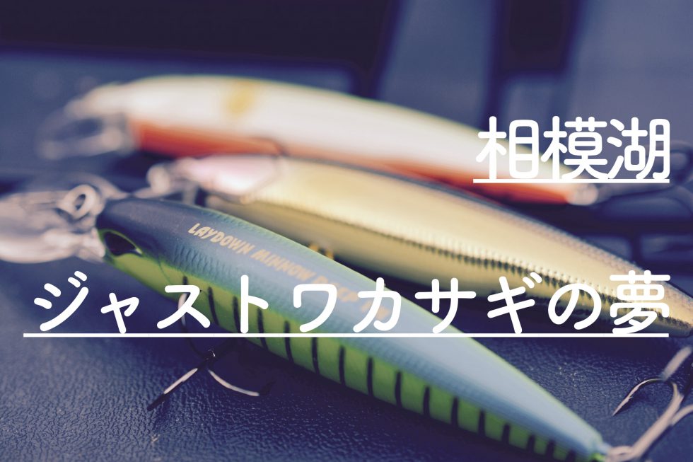相模湖春のミノーパターン探し。ジャストワカサギの夢を見て。 | ikahime