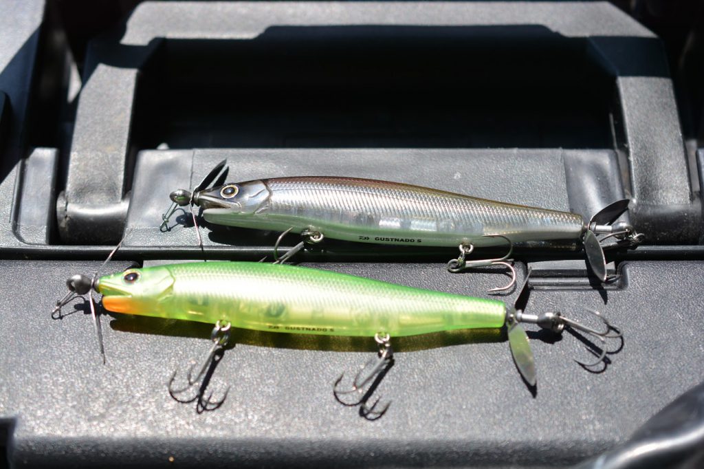 ダイワ ガストネード110S。アフターのスウィッシャーシーズンにGOOD。 | ikahime