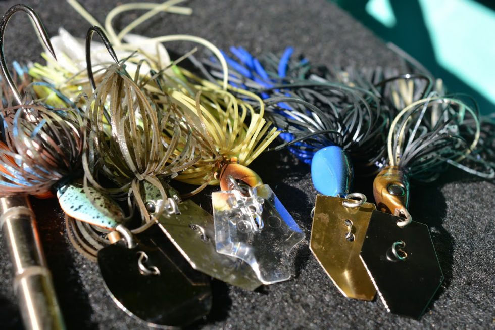 チャターベイト使用感まとめ。～チャターウォーズ～ | ikahime