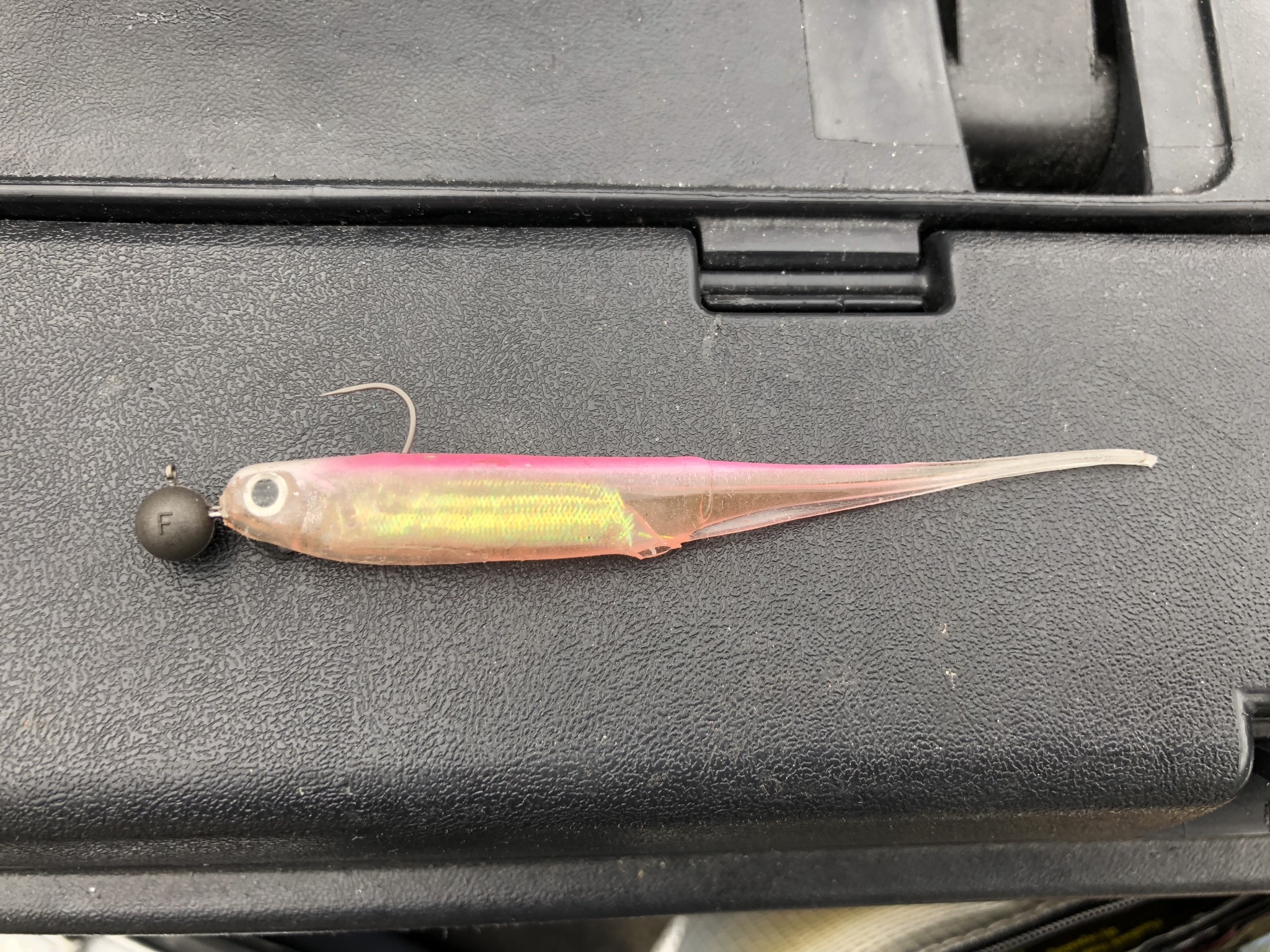 ほぼマックス満水の津久井湖でカバー撃ち。やっぱりテクニカルな津久井湖バス。 | ikahime