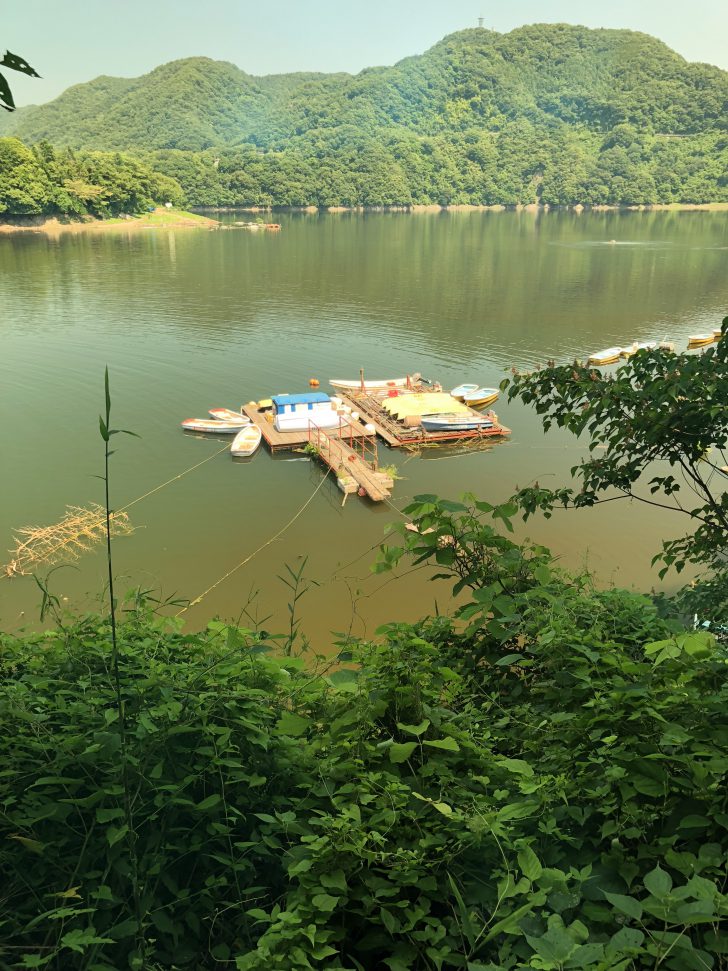 [淡水赤潮] 調査部隊。赤潮は敵なのか。 | ikahime