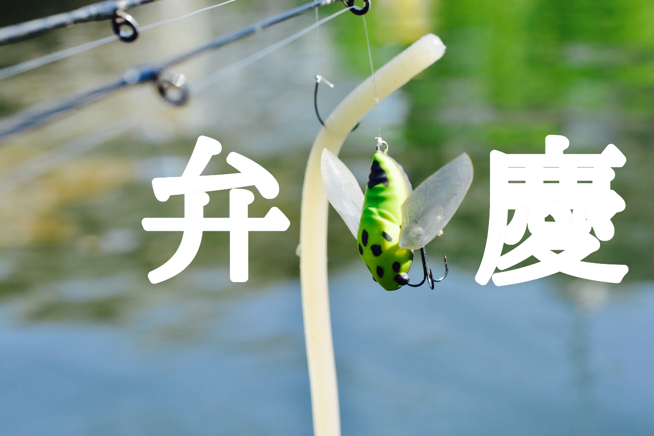 弁慶フィッシングクラブで夢の都バス。スワンプノーシンカーでサイト。 | ikahime