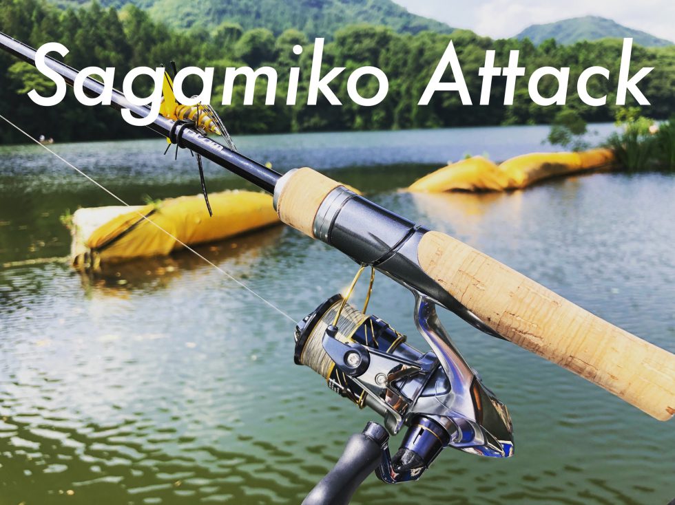 7月の相模湖アタック。スワンプJHWで40UP、ギズモでレギュラーサイズ。 | ikahime