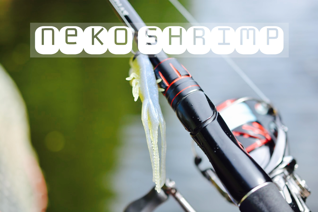 【強烈エビ臭】JACKALL ネコシュリンプがめっちゃクサイし、めっちゃ釣れる。 | ikahime