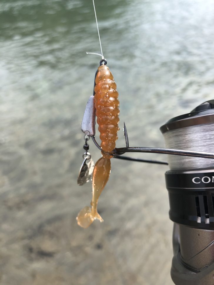 ZAPPU(ザップ) ブレディにいろんなワーム付けてみた。人気の秘密を探る | ikahime | 2ページ目