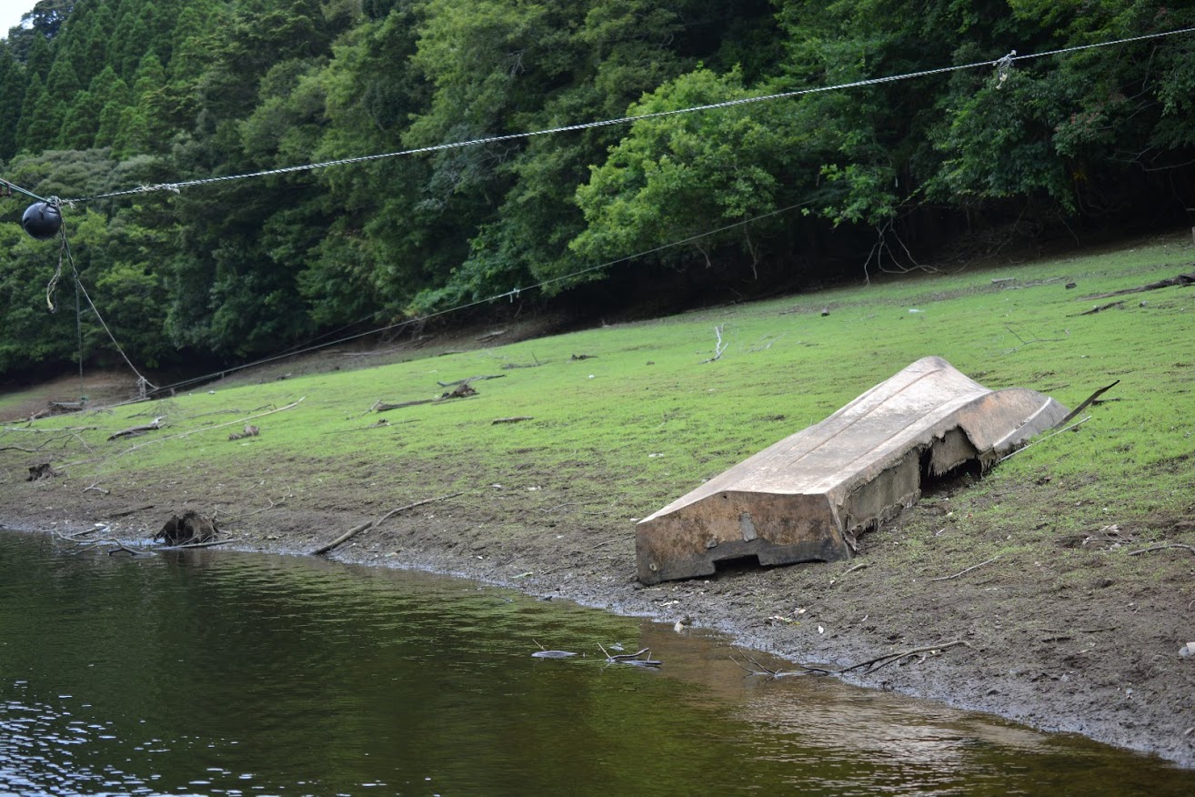 大減水の三島湖バス釣り。良型含む8本GET。 | ikahime