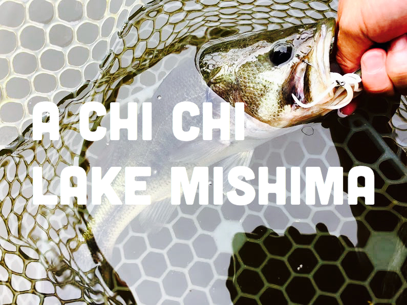 アチチな三島湖バス釣り。豊英からの放水MAXでどう変わるか。 | ikahime