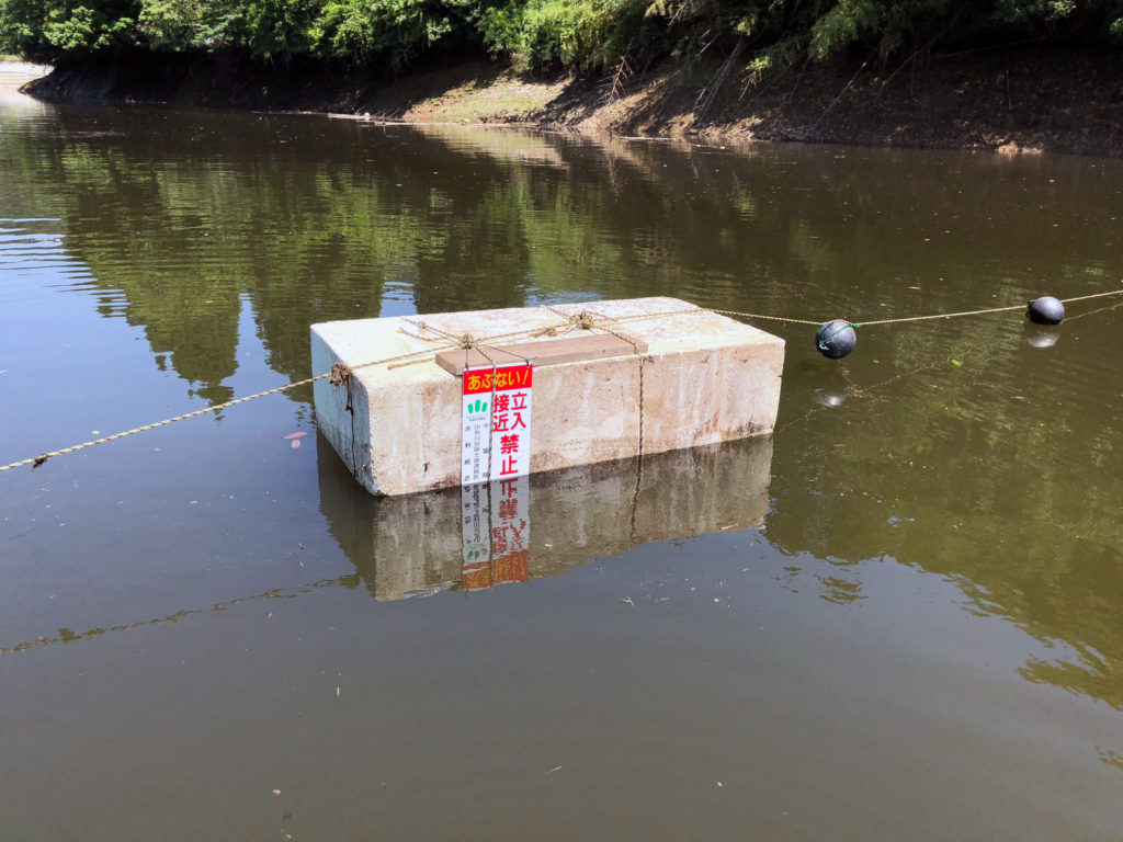 大減水の三島湖バス釣り。良型含む8本GET。 | ikahime